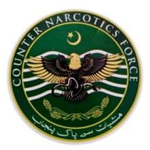 Punjab Counter Narcotics Force Jobs 2026 | Apply Offline Through ...